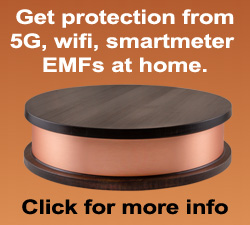 banner-ad – The Olivet Discourse Decoded