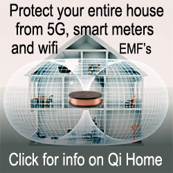 home-ad-250 – The Olivet Discourse Decoded